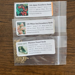 500 CHINESE HOUSES Pagodas Collinsia Heterophylla Flower Seeds | Etsy