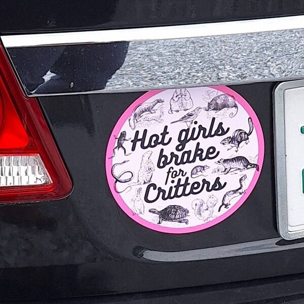 Hot Girls BRAKE FOR CRITTERS | Bumper Magnet | Vinyl Car Magnet | Gen Z ...