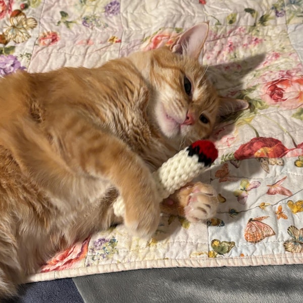 King of the Hill Svg Bundle, 9 Image Svg Bundle, Bobby Hill Svg, Hank ...