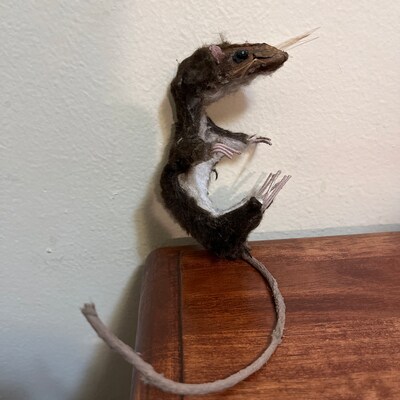 Posable Soft Finger Mice - Etsy