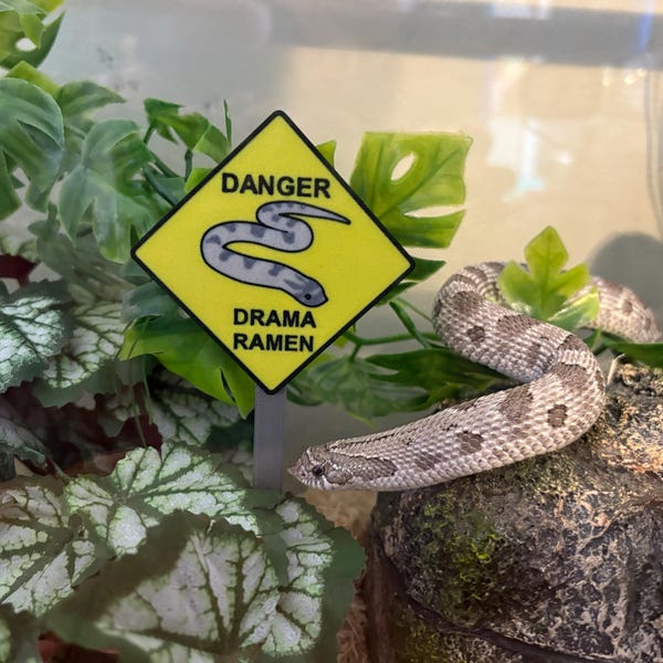 Cute Snake Warning Sign With Post, Vivarium Decoration for Hognose ...