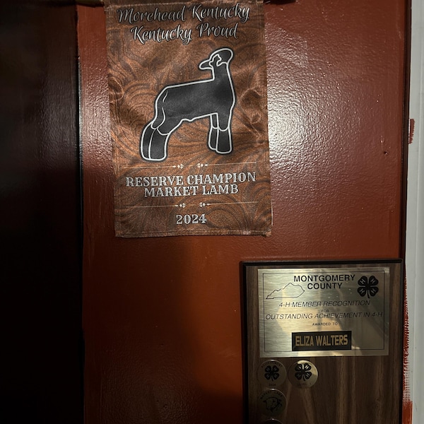 Stone Livestock Award, County Fair Award, Custom Livestock Award - Etsy