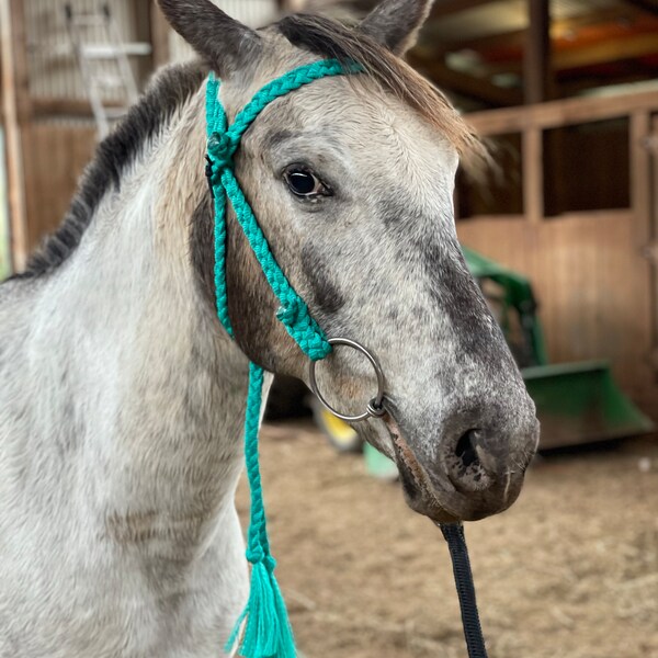 Braided Twist Hobbles and 3 Way Attachment Set - Etsy