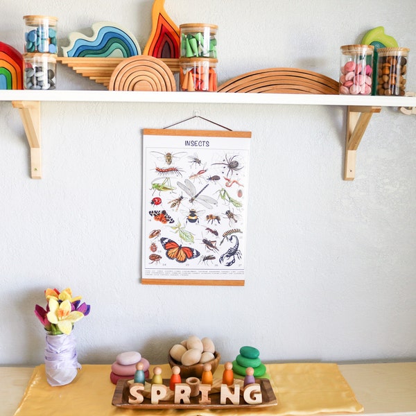 Insects Educational Posters Classroom Posters Montessori Decor ...