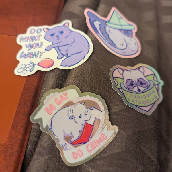 Pocha Kuni Korean Street Food Raccoon Mystery Bag - Etsy