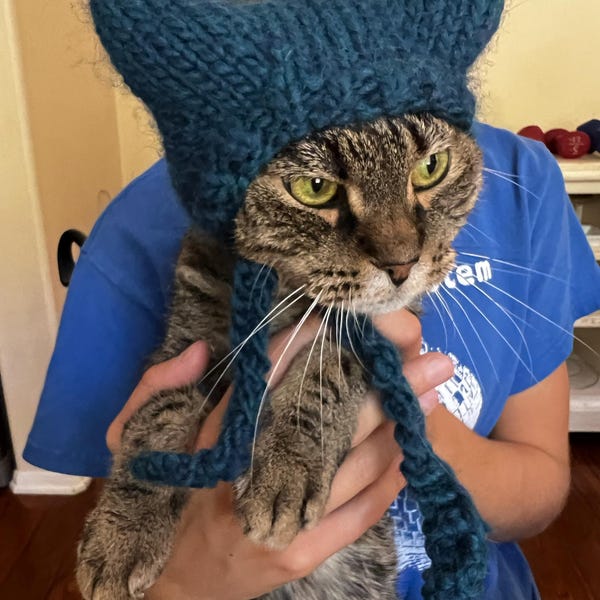PATTERN Matching Knitted Hats for You and Your Cat - Etsy