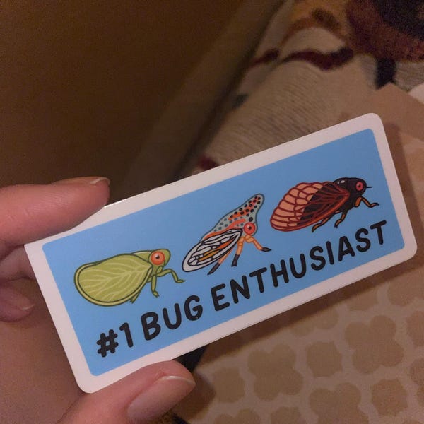 Number 1 Bug Enthusiast Iron-on Patch / Entomologist / Entomology ...