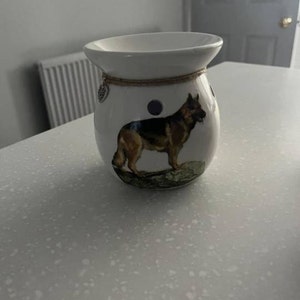 Robin Plant Pot for Inside or Out Decoupaged Robins Garden - Etsy