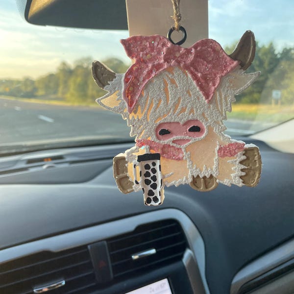 Chicken Freshie, Car Freshie, Freshy, Freshies, Freshener - Etsy