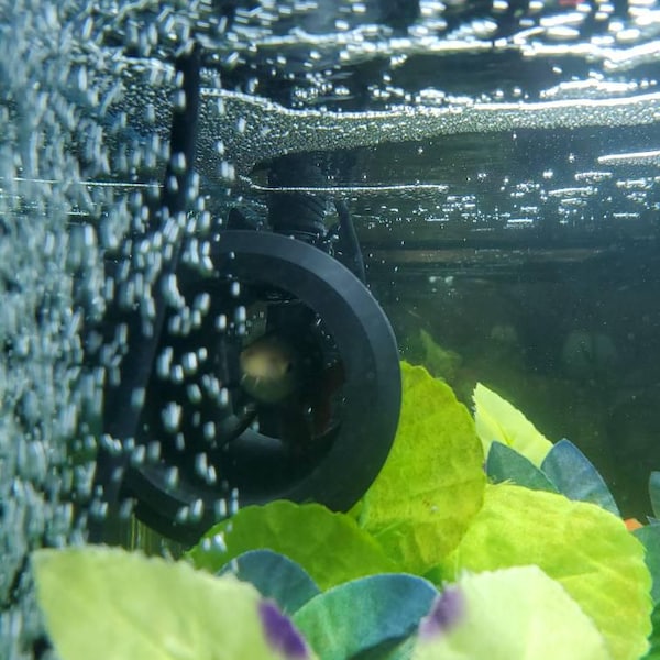 Reptile Repti Threaded Air Vents | STL File With Commercial Licensing ...