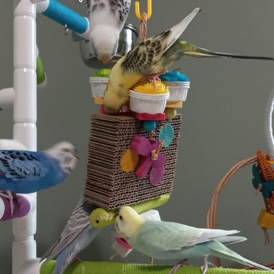 Botanical Bliss Seagrass Foraging Tray Rose Blossom Foraging Tray for ...