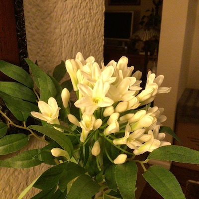 72 Mini Rose Garland Artificial Flower Garland Hanging Vine Wall ...