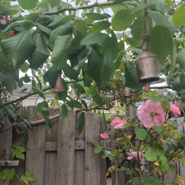 BARN BELLS in Small Sizes- 5 Distinctive Golden Rustic Bells - Full of ...
