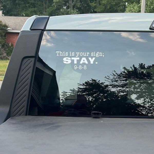 Crying but Trying Decal, Car Decal, Laptop Sticker, Funny Bumper ...