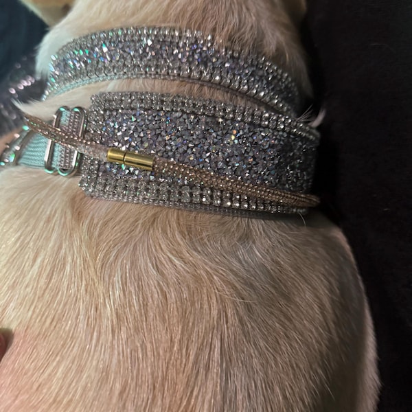 Real Rhinestone Bling Dog Collar 1" Grey Satin Four Sparkling Rows of ...