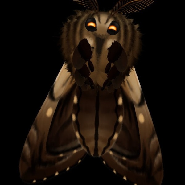 Beaver Vtube/live2d Avatar - Fully Rigged! - Etsy