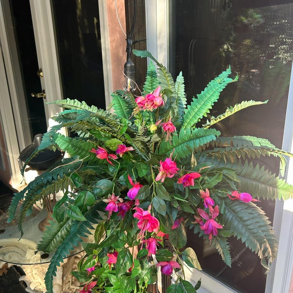 Artificial Jasmine Drooping Bush 80 Cm - Etsy