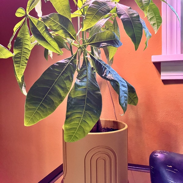 Indoor Matte Mustard Planter, 3D Printed Planter, Planter With Drainage ...