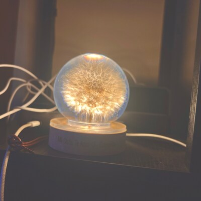 Dandelion Night Light, Real Dandelion Puff Paperweight, Flower Epoxy ...