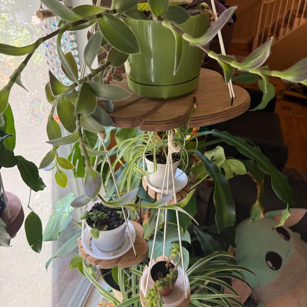 Monstera Multi Hanger, Plant Hanger, Plant Stand, Plant Decor, Plant ...