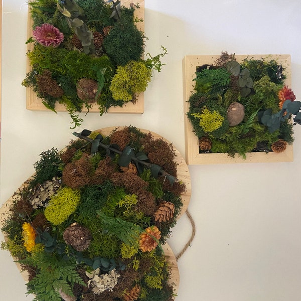 DIY Zen Garden Kit, Desktop Zen Garden, Therapy, Gift for Him, Gift for ...