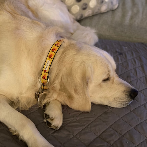 Turkey Trot Dog Collar,handmade Dog Collar,thanksgiving Dog Collar ...