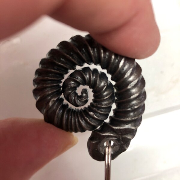 Hand Made Ammonite Style Keyring - Etsy UK