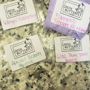 Seeds Xanthos Yellow Cosmos | Etsy