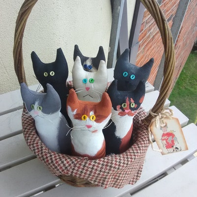 Cat Lady Starter Kit - Etsy