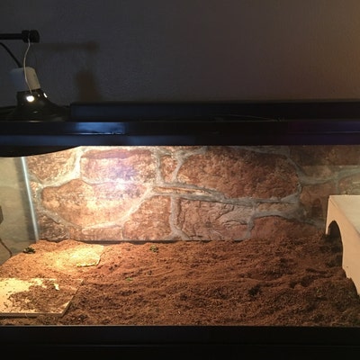 Brown Rock / Stone Aquarium Background Rocky Fish Tank Background - Etsy