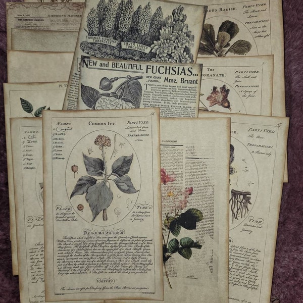 Botanical Ephemera Bundle, Vintage Inspired, 64lb Parchment Paper, Set ...