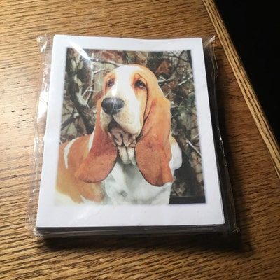 Minpin 2 Miniature Pinscher Note Cards - Etsy