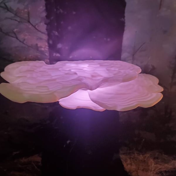 Layered Mushroom LED Shelf - 15 Color USB Lamp - Organic Garden Living ...