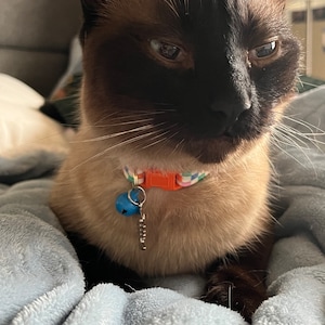 Retro Checkered Cat Collar With Bell, Colorful Male Cat Breakaway ...