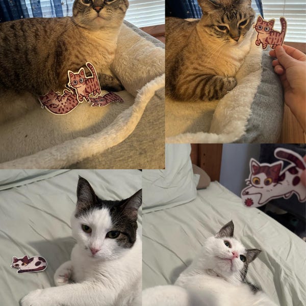 Personalized Cat Stickers - Hand Drawn | Custom Pet Stickers, Cat ...