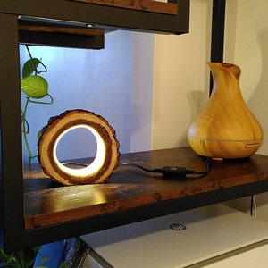 Small LED Log Light Table Lamp Desk Light Real Wooden Log Hollow ...