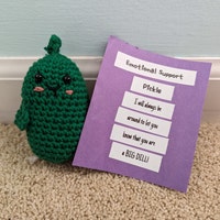 Emotional Support Pickle & Positive Poo Pattern Bundle,us Terms ...