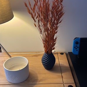 Burnt Orange Oats / Dried Avena Oats / Dried Flowers Bulk / Dried ...