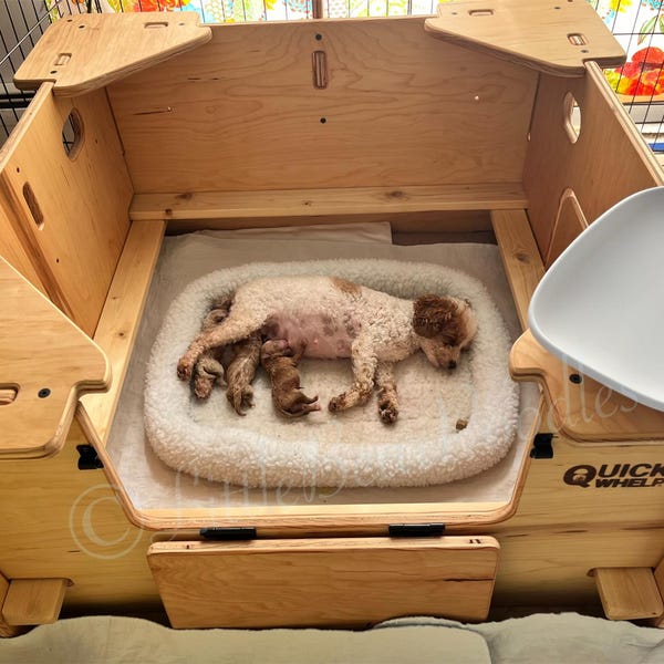 Whelping Box, Weaning Box, Medium, Puppy Pen - Etsy