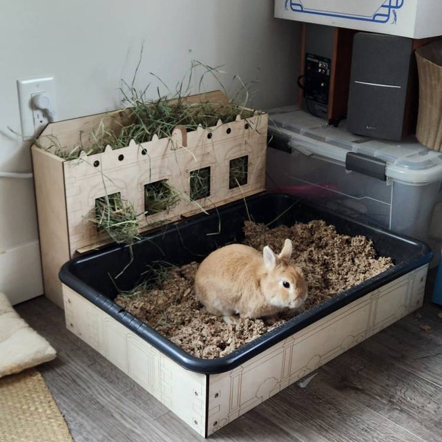 BunadventureSeries - Etsy