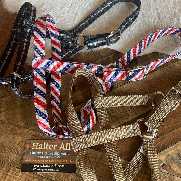 Custom Horse Inlay Halter YOU DESIGN Nylon Handmade USA by Halter All ...