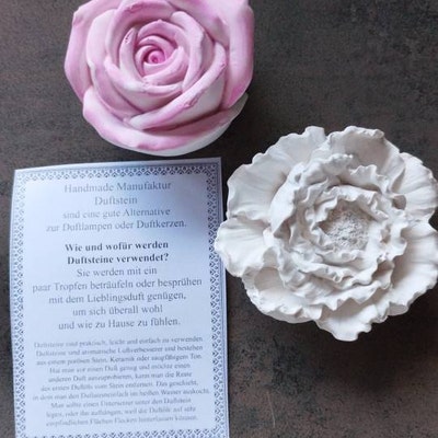 Mermaid Talisman, Sea Ocean Real Shell Bead Chain Sea Terrarium ...