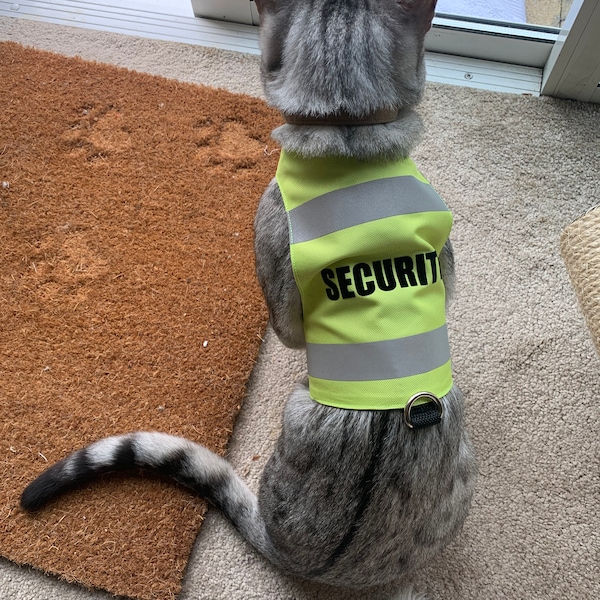 Security. Water-repellent Green Safety Cat Harness With Reflective ...