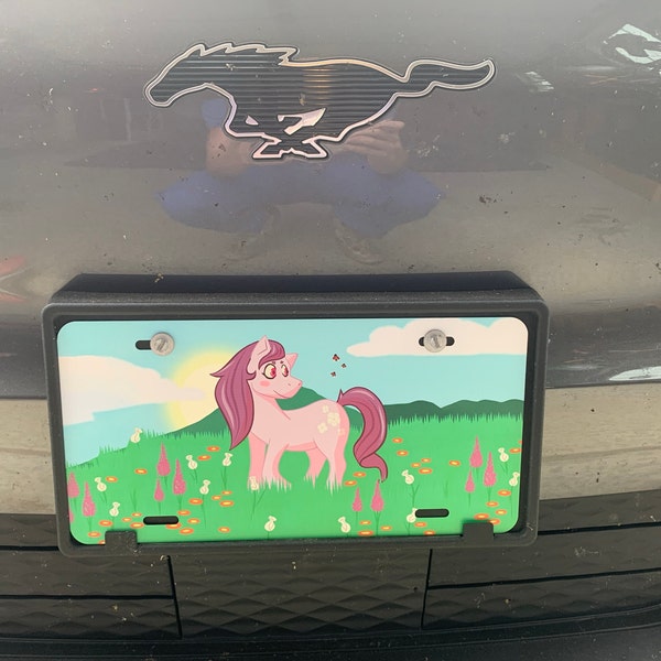 Custom License Plate Front Car Tag, Aluminum or Plastic - Personalized ...