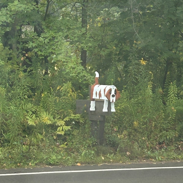 Wild Animal Mailboxes - Hippo Mailbox - Etsy