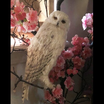 Snowy Owl Christmas Tree Topper. Needle Felted Snowy Owl. Needle Felted ...