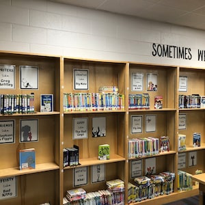 Diverse Book Character Posters Classroom Storybook Characters - Etsy