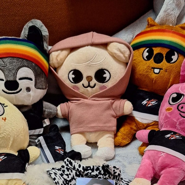 Skzoo University Hoodie Set, Stray Kids Plushies, Stray Kids Tracksuits ...