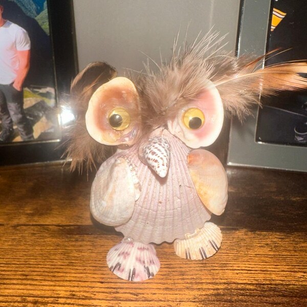 Seashell Animal Art - Tina the Turtle - Etsy