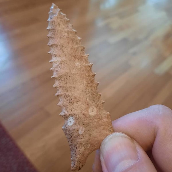 Desert Delta Side Notch Arrowhead Projectile Point - Ancient Native ...